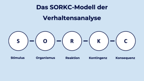 SORKC-Modell einfach erklärt mit 2 Beispielen!